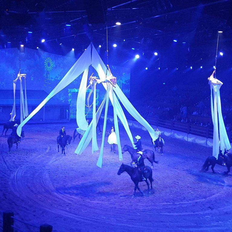 Gold-Coast-Accessible-Activities-Australian-Outback-Spectacular-Image ...