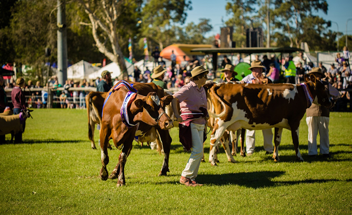 Mudgeeraba Show – October 2–4, 2020 | Hello Gold Coast